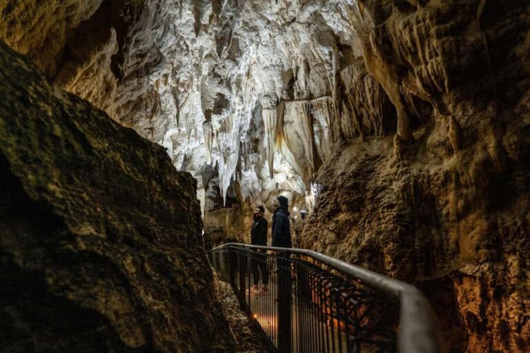RUAKURI CAVE & HAMILTON GARDENS-PRIVATE TOUR FROM AUCKLAND - Exploring the Ruakuri Cave: The Underground Wonder