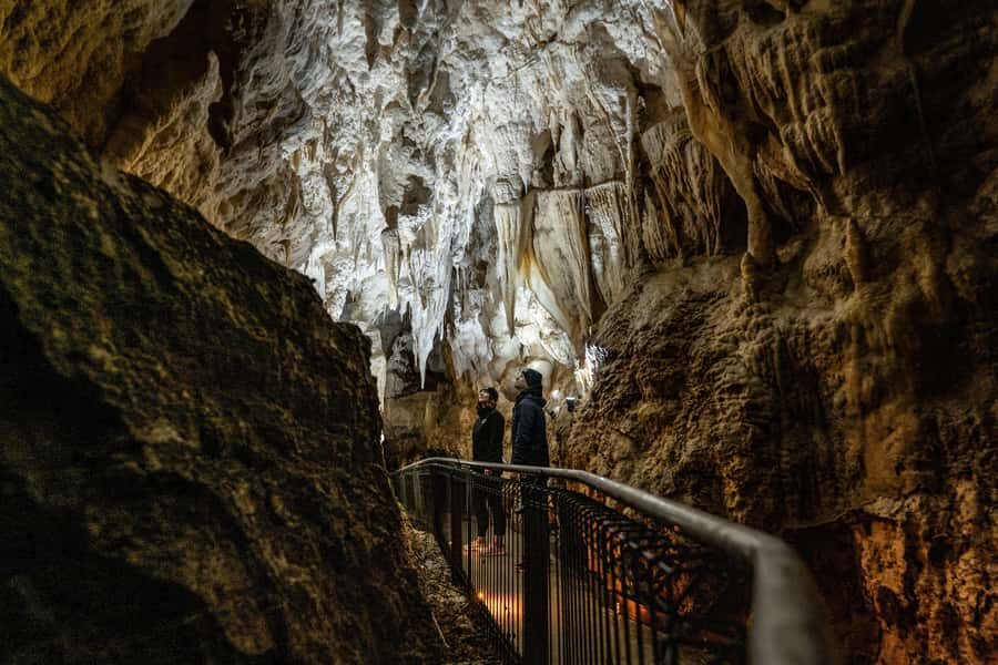 RUAKURI CAVE & HAMILTON GARDENS-PRIVATE TOUR FROM AUCKLAND - Exploring the Ruakuri Cave: The Underground Wonder