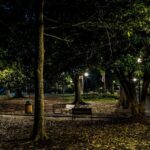 Rust, Rebels & Ruins: Raleigh Ghost Tours - A Closer Look at the Haunted Walk