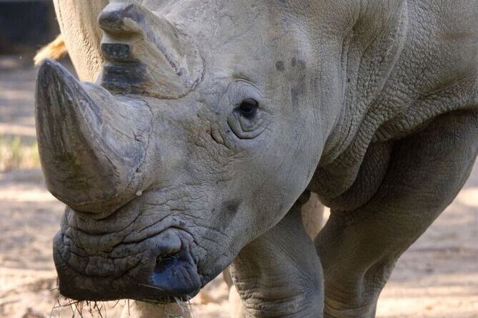 Sacramento Zoo General Admission Ticket - Final Thoughts