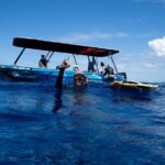 Sacred Experience Swimming with a Whale in Moorea - The Boat and Equipment