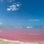 Safari in Rio Lagartos, Coloradas and Mayan Bath - What’s Included & What to Keep in Mind