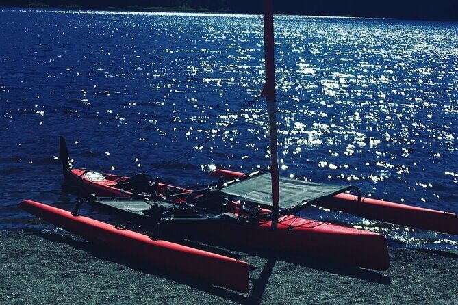 Sailing Alaska's Inside Passage 4 Day Private Tour - Why This Tour Might Be Perfect for You