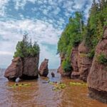 Saint John (NB) Bay of Fundy and Hopewell Rocks Private Tour - An In-Depth Look at the Tour Experience