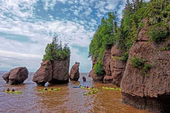 Saint John (NB) Bay of Fundy and Hopewell Rocks Private Tour - An In-Depth Look at the Tour Experience