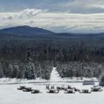 Sainte-Apolline-de-Patton: Guided Wolf Sanctuary Tour - Who Should Consider This Tour?