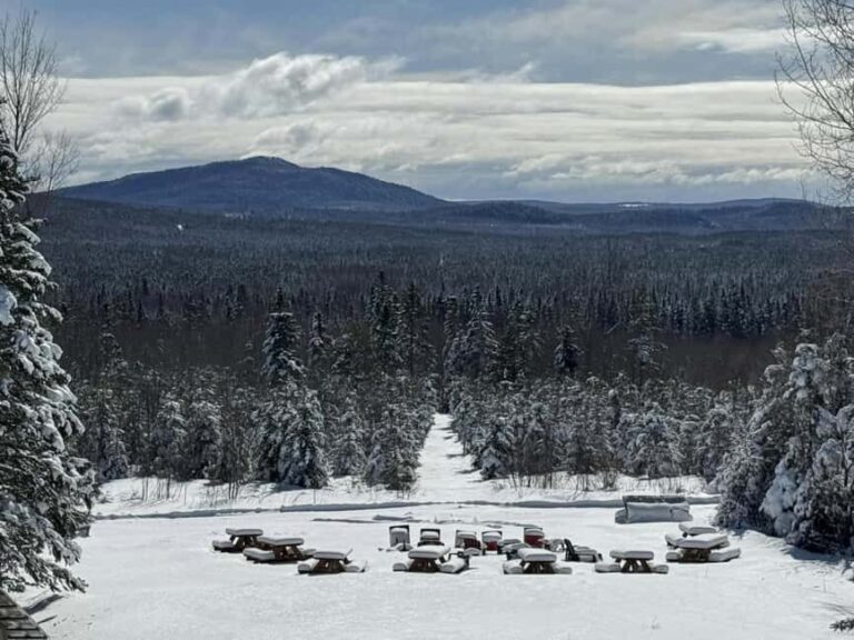 Sainte-Apolline-de-Patton: Guided Wolf Sanctuary Tour - Who Should Consider This Tour?