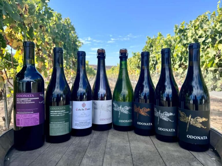 Salinas Valley, CA: Wine tasting experience - Who Should Consider This Experience?