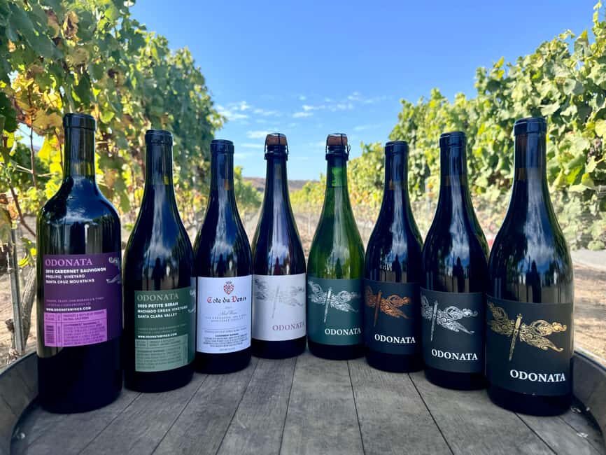 Salinas Valley, CA: Wine tasting experience - Who Should Consider This Experience?