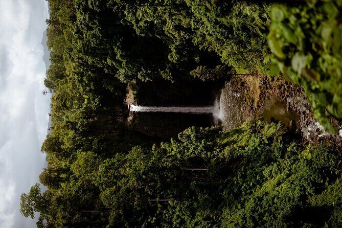 Samoa Upolu: Full Day Private Tour - Authentic Samoa Experiences for Nature & Water Enthusiasts