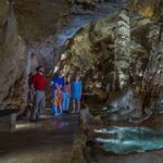 San Antonio: Discovery Tour at Natural Bridge Caverns - The Value of the Admission Price