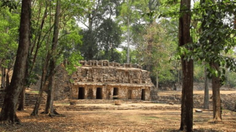 San Cristobal: 3 Days Expedition of North Lacandona Jungle - The Archaeological Marvels: Yaxchilán and Bonampak