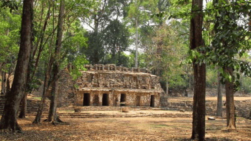San Cristobal: 3 Days Expedition of North Lacandona Jungle - The Archaeological Marvels: Yaxchilán and Bonampak