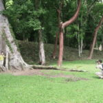 San cristobal- 4 Days Kayak Tour in Lacandona Jungle - Exploring the Itinerary in Detail