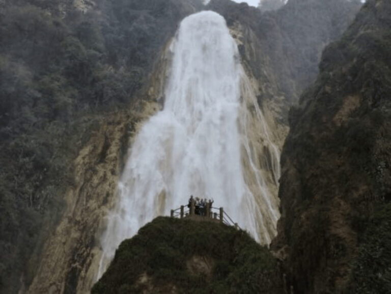 San Cristobal: 4 Days Nature Tour in the Lacandon Jungle - Who Should Consider This Tour?