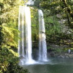 San Cristóbal: Agua Azul, Misol Ha & Palenque Experience - What to Expect During the Day