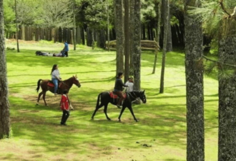 San Cristóbal: Arcotete Ecotourism Park & Rancho Nuevo Caves - Activities and Experience Highlights