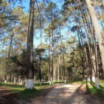 San Cristobal: Rancho Nuevo Caves and Arcotete Tour - Outdoor Activities at the Ecotourism Park El Arcotete