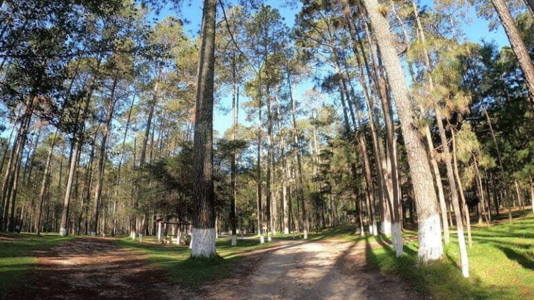 San Cristobal: Rancho Nuevo Caves and Arcotete Tour - Outdoor Activities at the Ecotourism Park El Arcotete