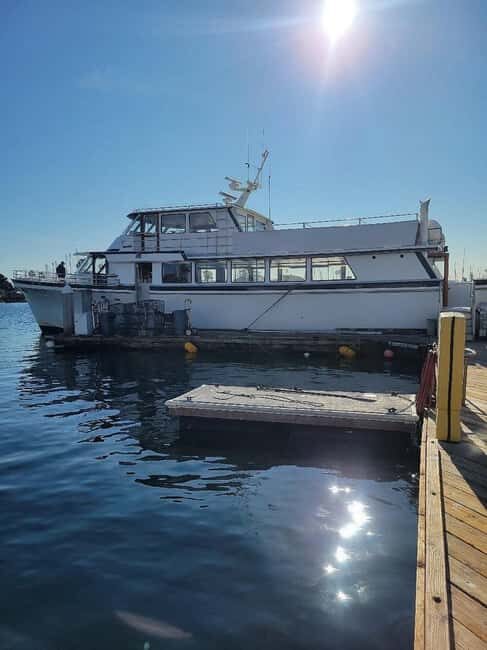 San Diego: 3 Hour Whale Watching Cruise - FAQ