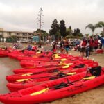 San Diego Bay 1.5-Hour Guided Kayak Tour in Coronado - What to Expect During the Tour