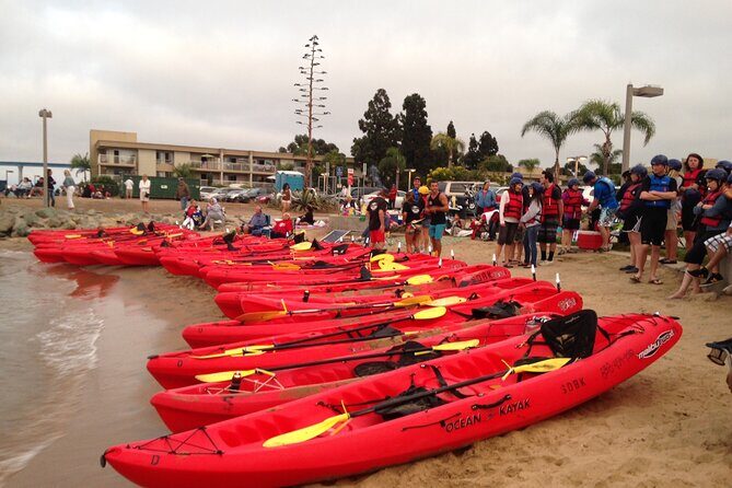 San Diego Bay 1.5-Hour Guided Kayak Tour in Coronado - What to Expect During the Tour