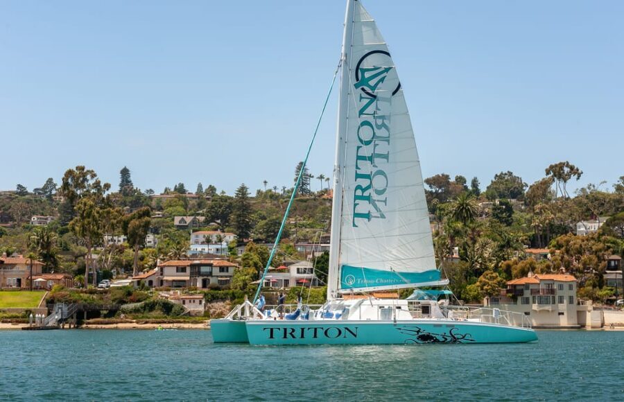 San Diego Harbor Cruise: 2.5 hour Catamaran Cruise - Setting Off: What’s Included & What to Expect