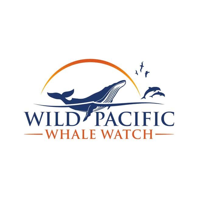 San Diego: Luxury Year-round Whale Watching & Dolphin Tour - The Value of the Tour: Price & Experience