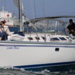 San Diego: San Diego Bay Sunset & Daytime Sailing Experience - What to Expect on the Cruise