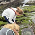 San Diego Tide Pool Tour - Final Thoughts: Is This Tour for You?