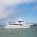 San Diego Whale/Dolphin Watching Cruise Aboard Luxury Vessel - The Experience in Action: Real Traveler Insights