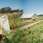 San Francisco: 5-Day California Coast, Vineyards & Wine Tour - FAQ