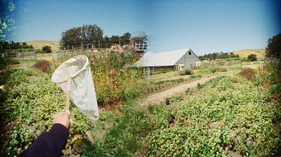 San Francisco: 5-Day California Coast, Vineyards & Wine Tour - FAQ