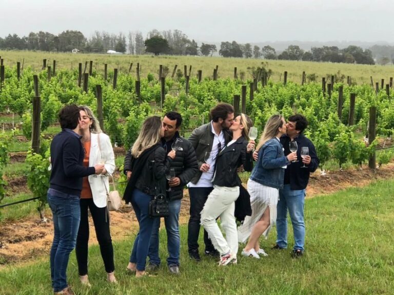 San Francisco: Napa Valley Half-Day Wine Tour with Tastings - Transportation, Duration & Practical Details
