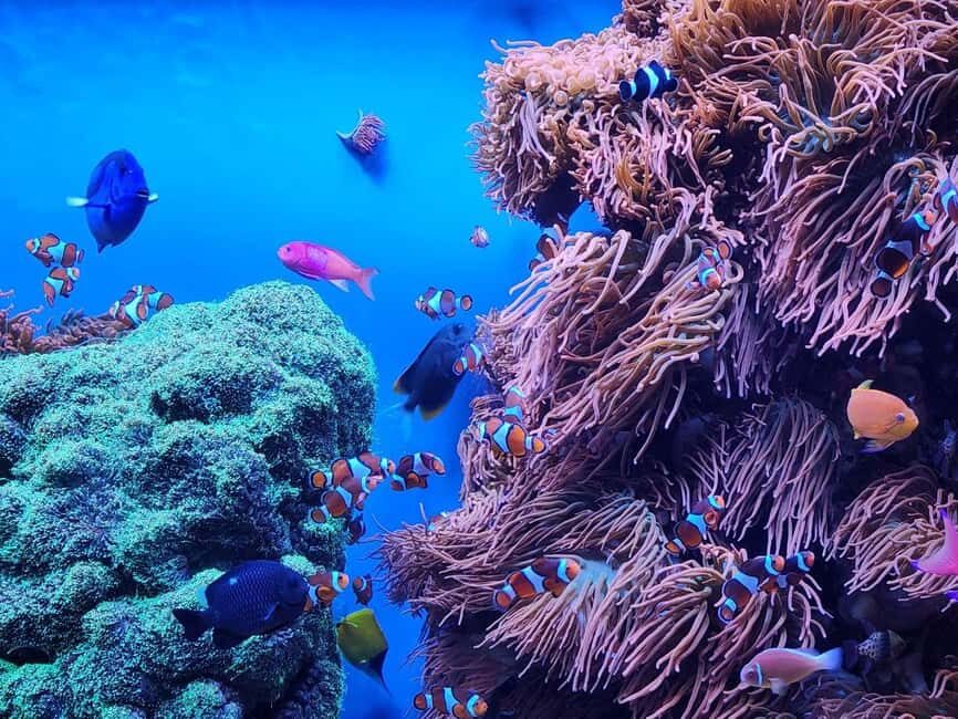 San Francisco: Private Monterey Aquarium 17 Mile Carmel - Final Thoughts: Who Will Love This Tour?