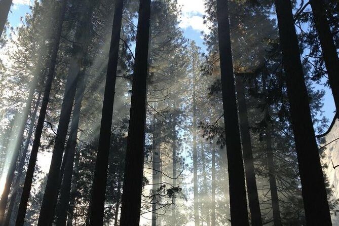 San Francisco Private Tour: Hidden Gems & Highlights by a Local - Value & Practical Considerations