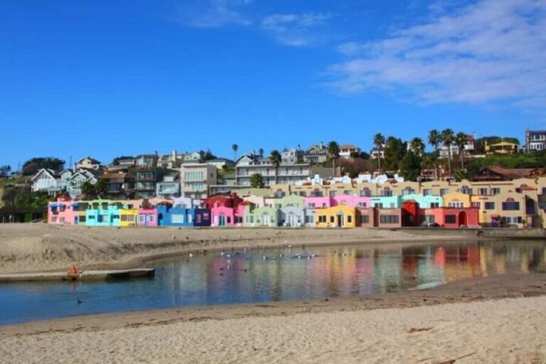 San Francisco: Redwood Forest & Santa Cruz Harbor 1-Day Trip - FAQs