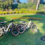 San Francisco: Summer of Love Guided eBike Tour - Who Should Consider This Tour?