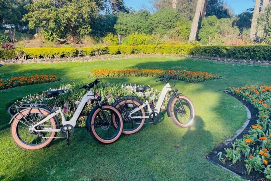 San Francisco: Summer of Love Guided eBike Tour - Who Should Consider This Tour?
