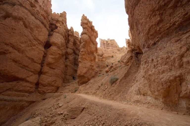 San Francisco: Yosemite, Las Vegas, Bryce & Zion, 6-Day Tour - Itinerary Breakdown