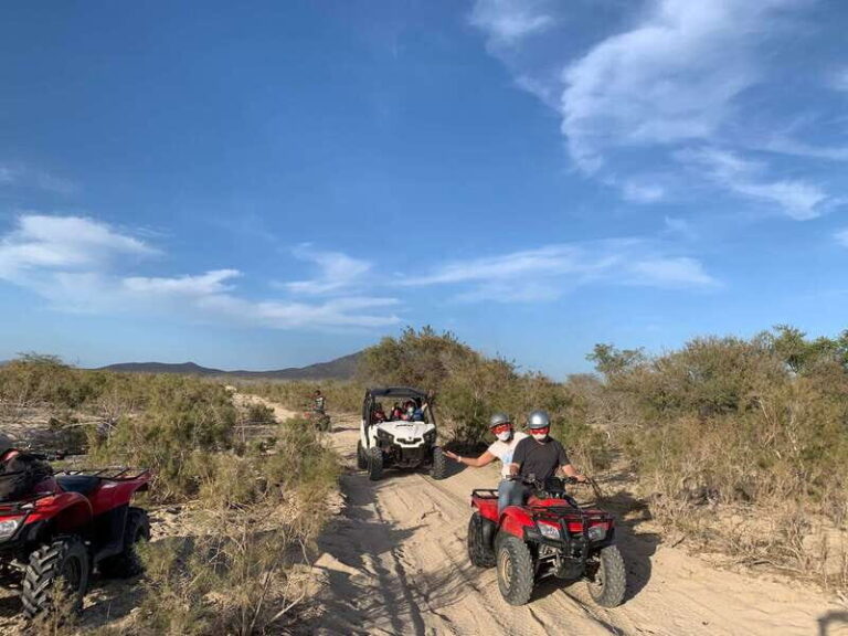 San José del Cabo: 2-Hour ATV Tour - Practical Tips for Making the Most of Your Tour