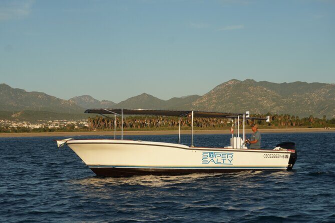 San Jose del Cabo Small-Group Sunrise Whale Watching - Practical Details and Considerations