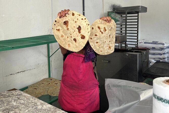 San Jose del Cabo - Taco Tour Experience (evening tour) - Is the Tour Worth the Price?