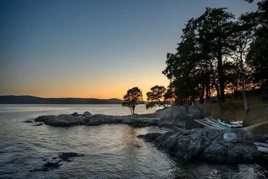 San Juan Island: Half- or Full-Day Lime Kiln Kayak Tour - Practical Details and What You Should Bring