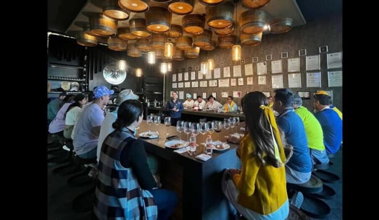 San Miguel Allende: Guanajuato Wine Route vineyard tour - The Vineyard Experience