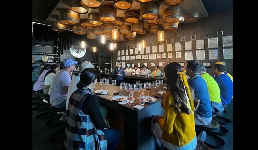 San Miguel Allende: Guanajuato Wine Route vineyard tour - The Vineyard Experience