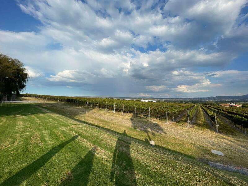 San Miguel de Allende: A Journey Through Vineyards - What’s Included and Additional Info