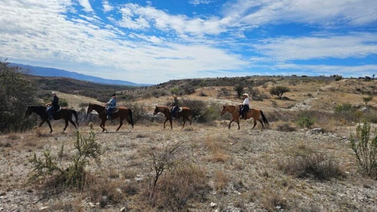 San Miguel de Allende: Breakfast Horseback Ride To Nirvana - Who Should Consider This Tour?