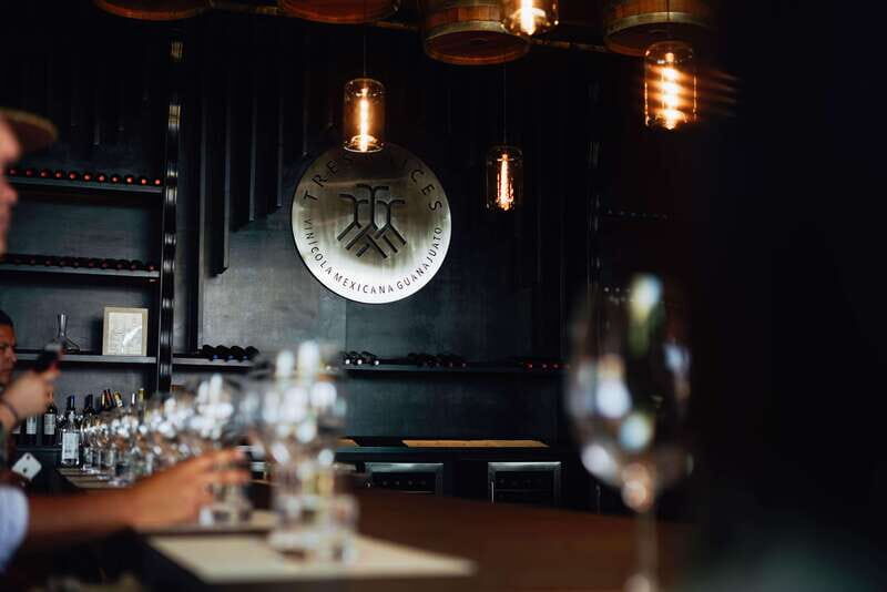 San Miguel de Allende: Independence Valley Wine Route - Food and Drink Experience