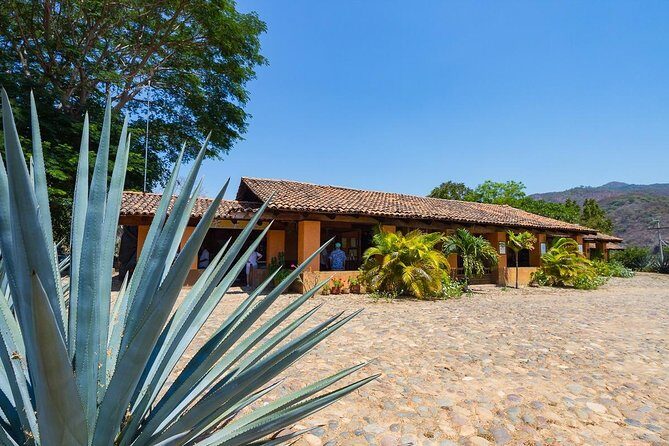 San Sebastian Tour - What Reviewers Say